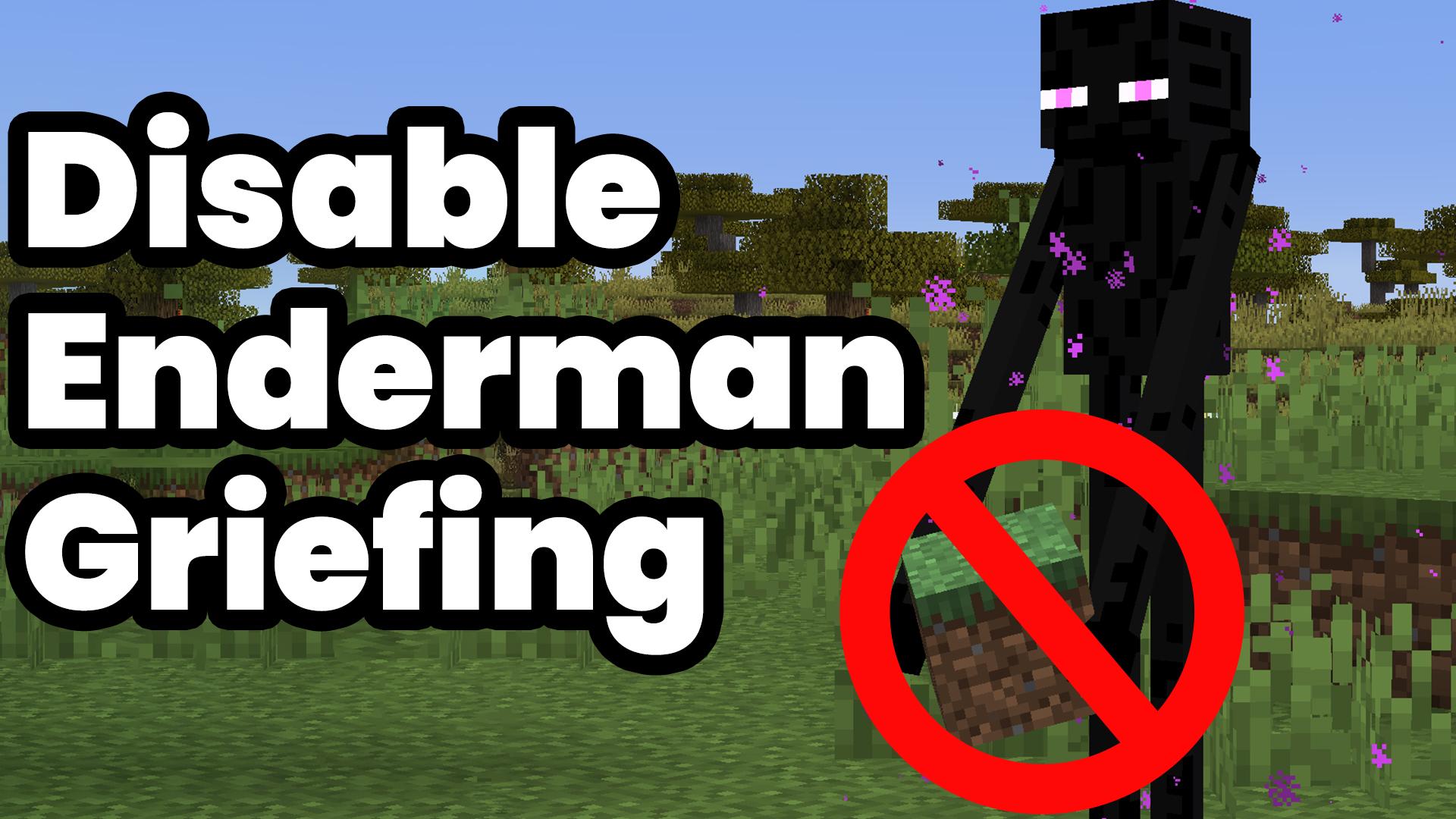 Disable Enderman Griefing — James Turner